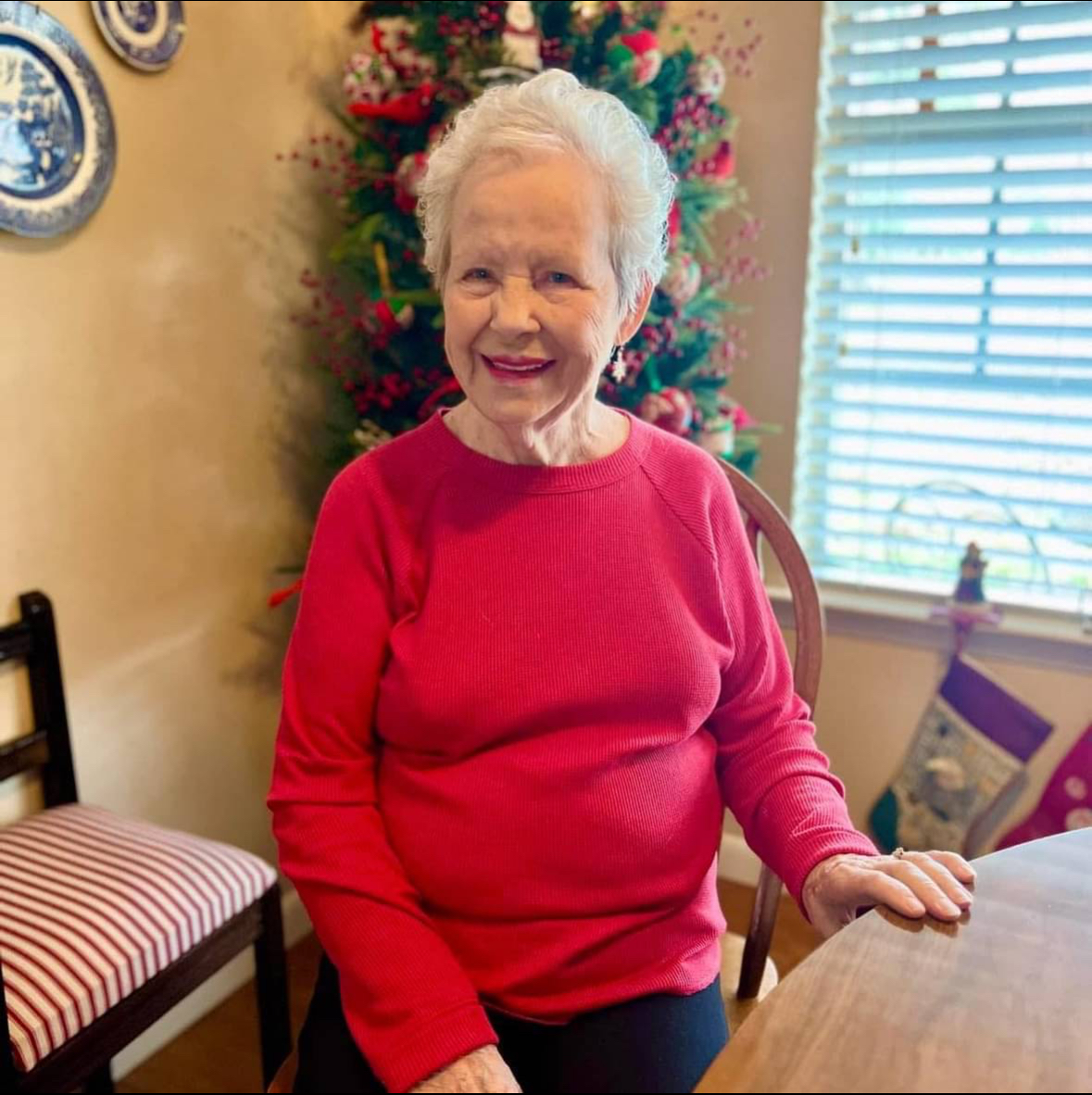 Faye Williamson Obituary - Brackney Funeral Service